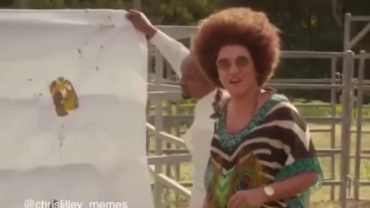 Jana’s BEST!! Moments part 3 (Chris Lilley Lunatics) - YouTube