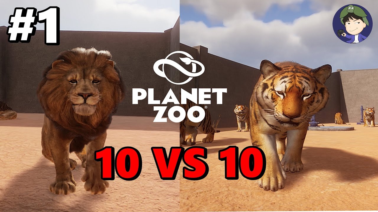 เสือ VS สิงโต : Planet Zoo #1 (Animal Fight Thailand) - YouTube