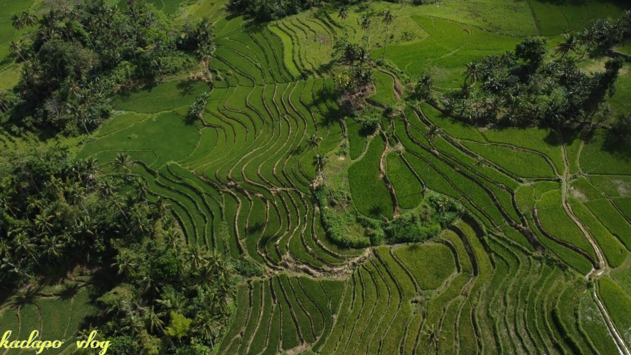 Capacuhan,Abachanan, Sierra Bullones,Bohol - YouTube