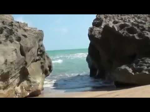 Fuad Poladov - \