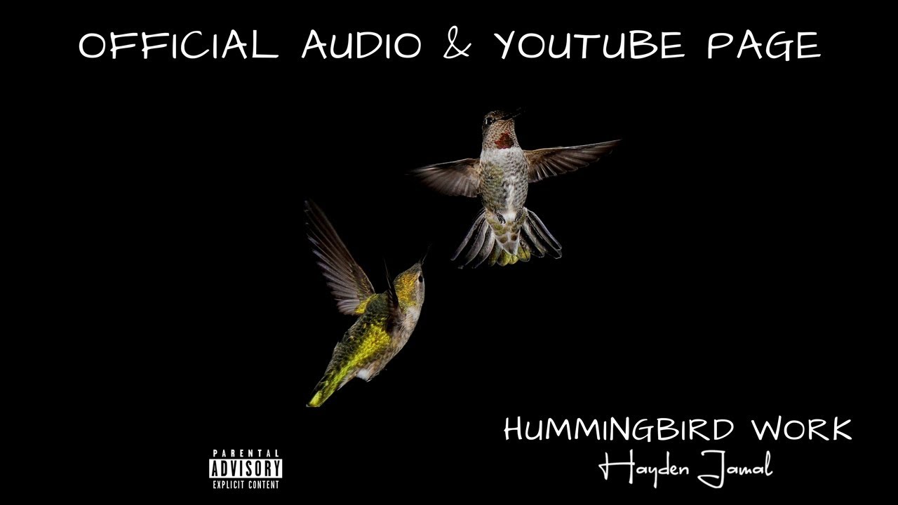 Hummingbird Work - YouTube