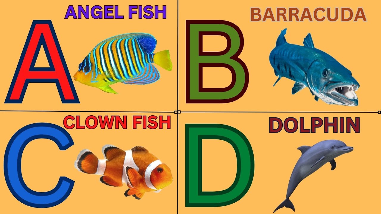 ABC sea animals/Sea animals ABC/#seaanimals /#abc - YouTube