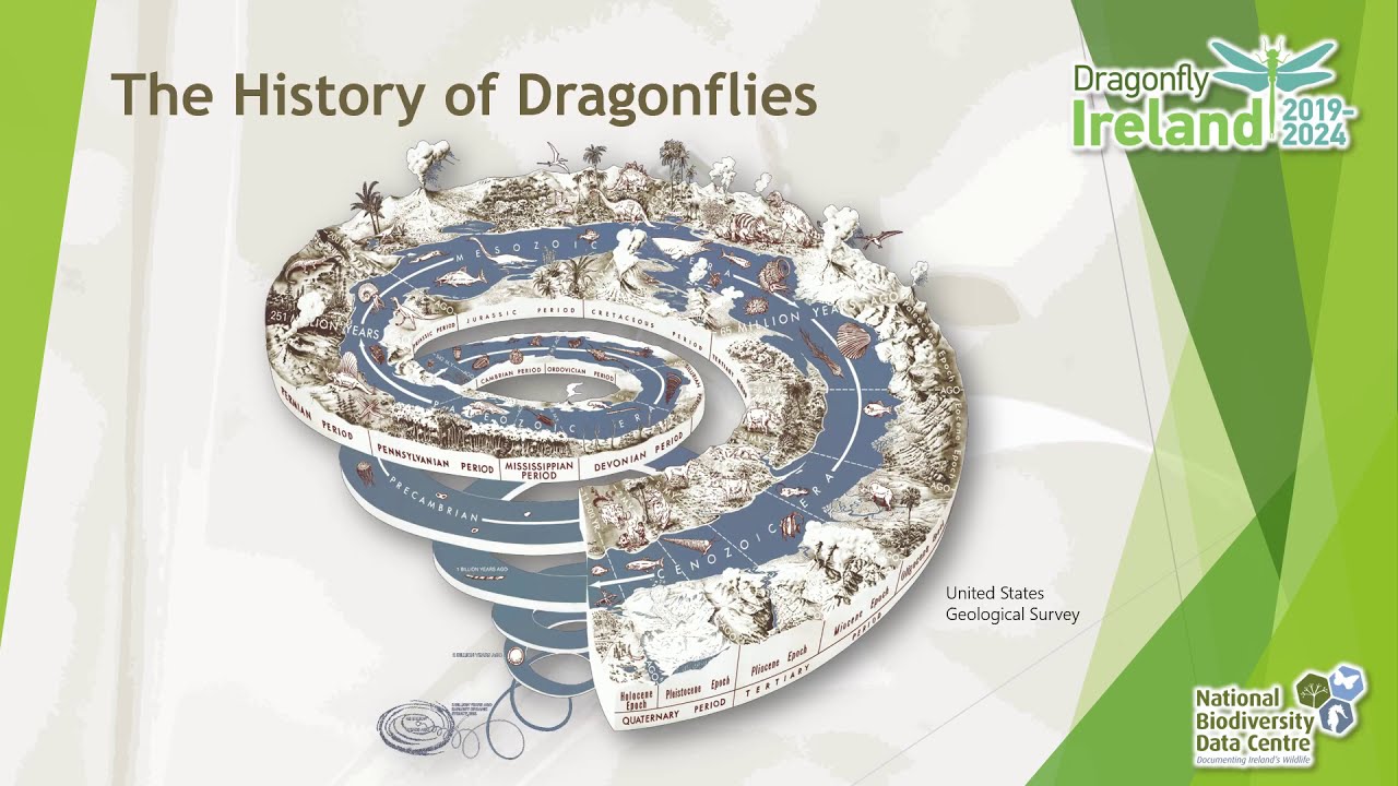 Dragonfly Ireland An Introduction to the Dragonflies and Damselflies ...