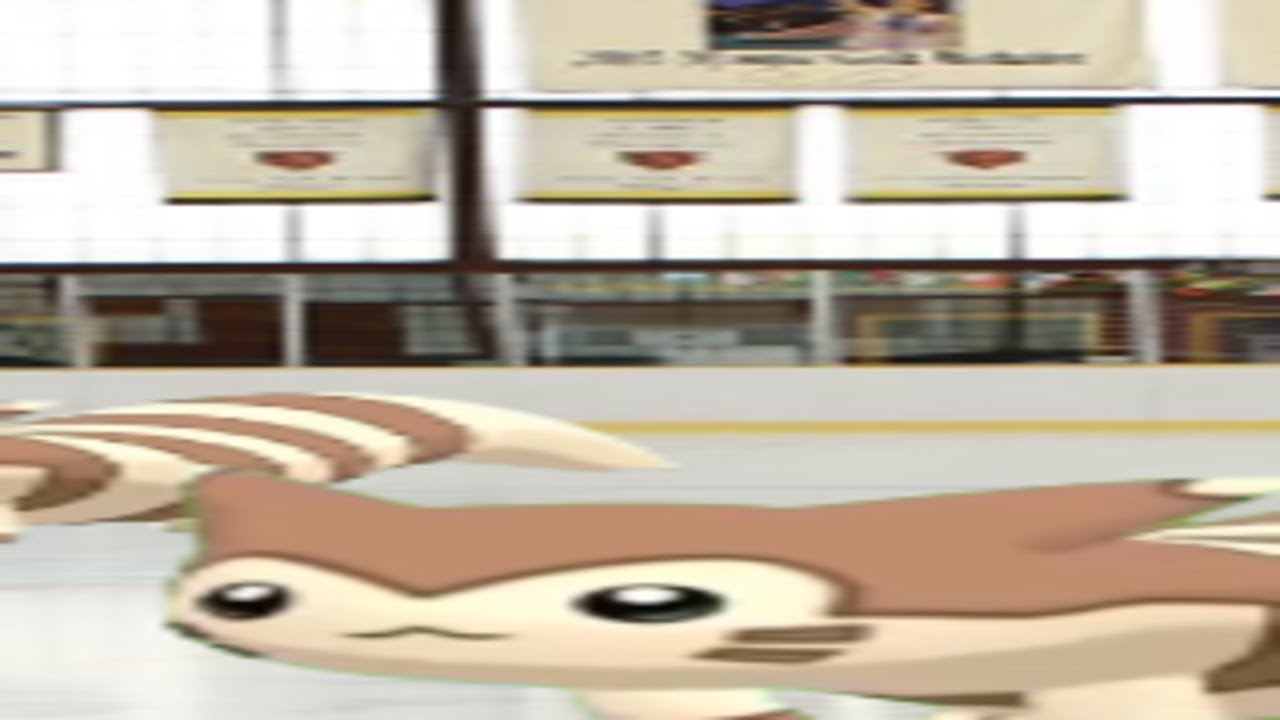 Furret returns to the Ice Rink until my computer commits die. [STREAM ...