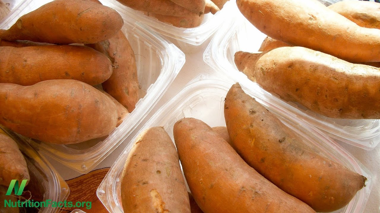 Anti-Cancer Potential of Sweet Potato Proteins - YouTube