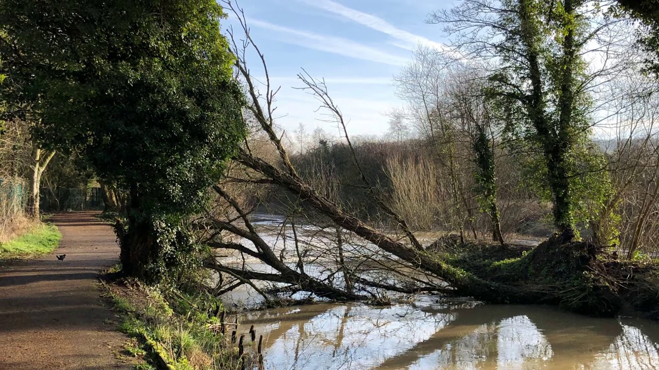 Vires acquirit eundo. We gather strength as we go. - YouTube