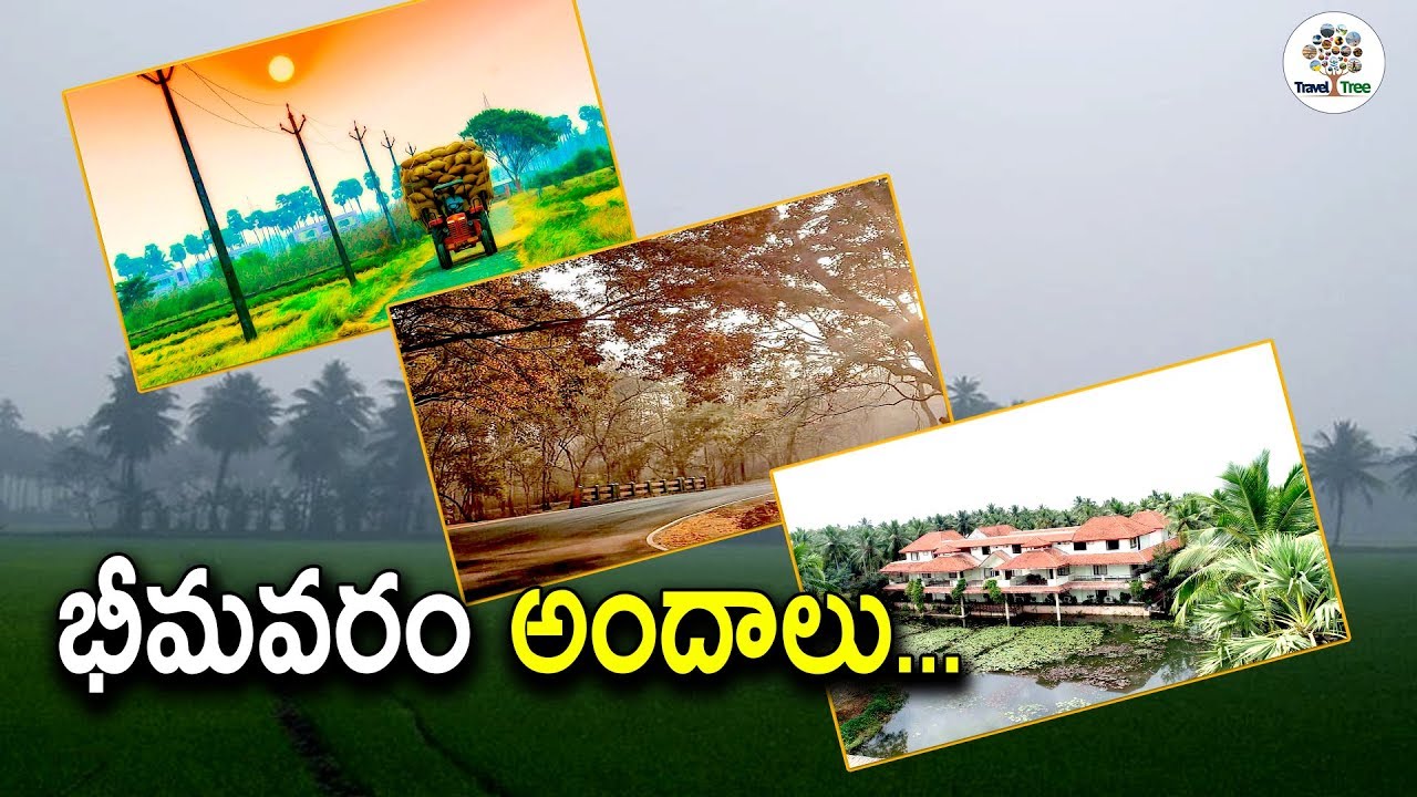 Beauty of Bhimavaram | A Wonderful View Of Nature, The West Godavari ...