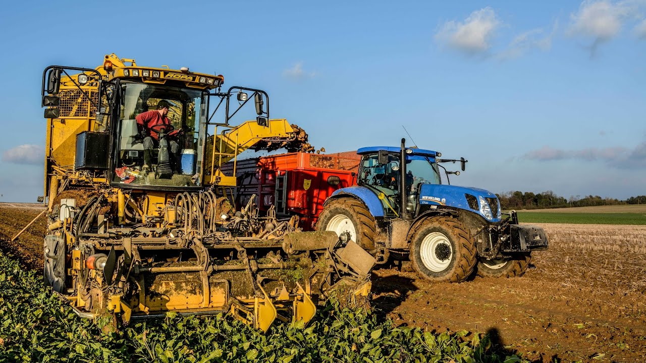 Betterave 2016 ROPA Euro Tiger V8-4 & 2 New Holland T7 - YouTube