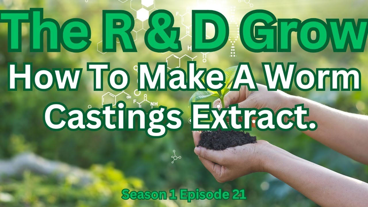 How To Make A Worm Castings Extract. - YouTube