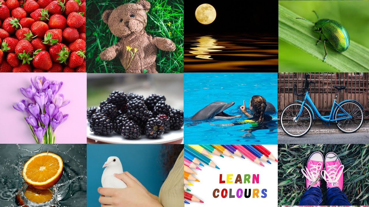 We Love all the Colors! | Lets Learn Colors | Learn,Teach Colors to ...