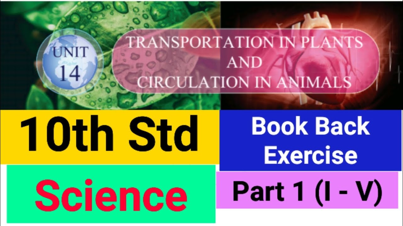 10th Std - Science |Transportation in plants and Circulation in Animals ...