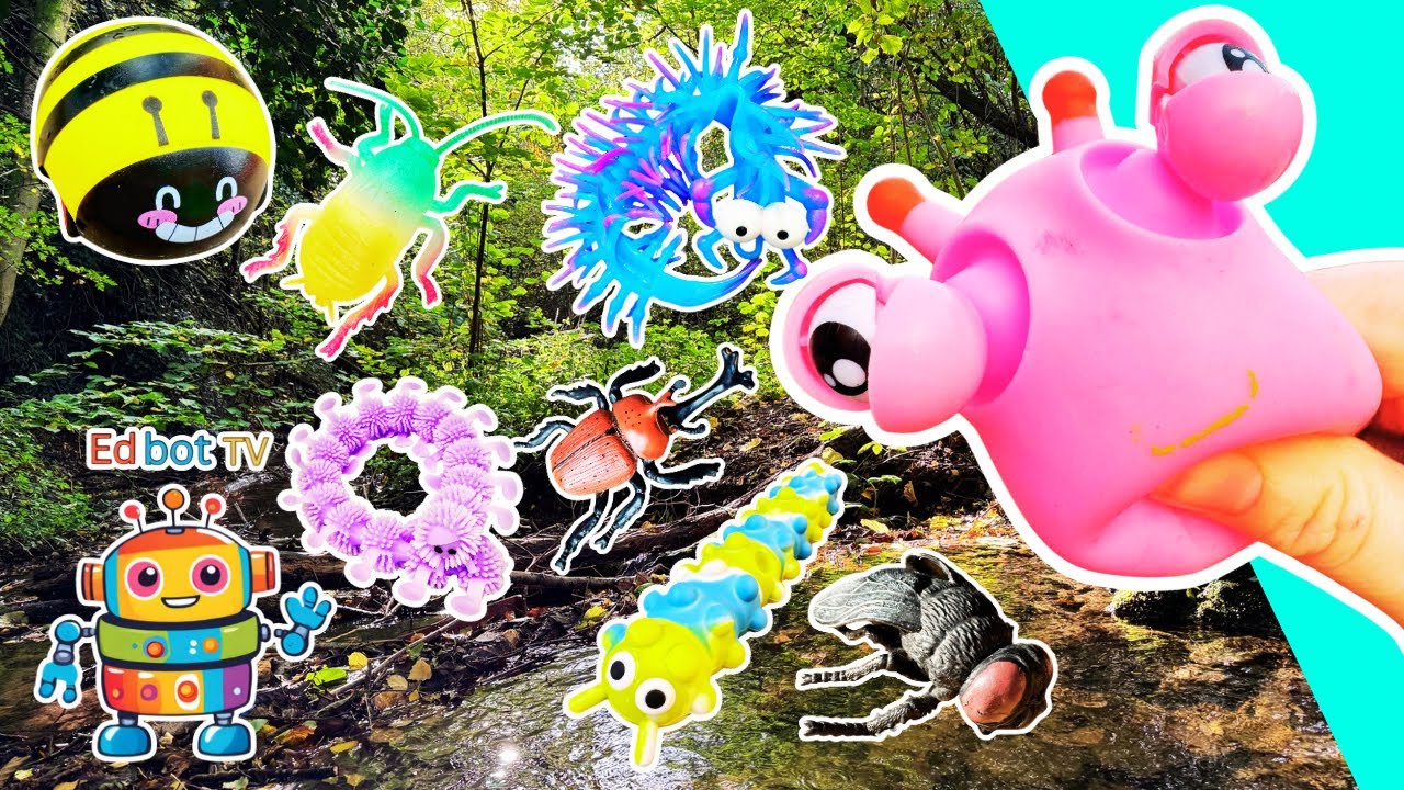 Learn Bug Insect Names for Kids: Slug Fly Caterpillar Rhino Beetle ...