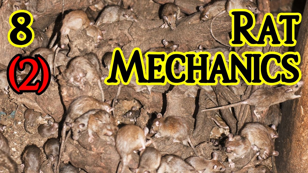 Rat Mechanics (2/2) - Dungeon Dame Devlog #8 - YouTube