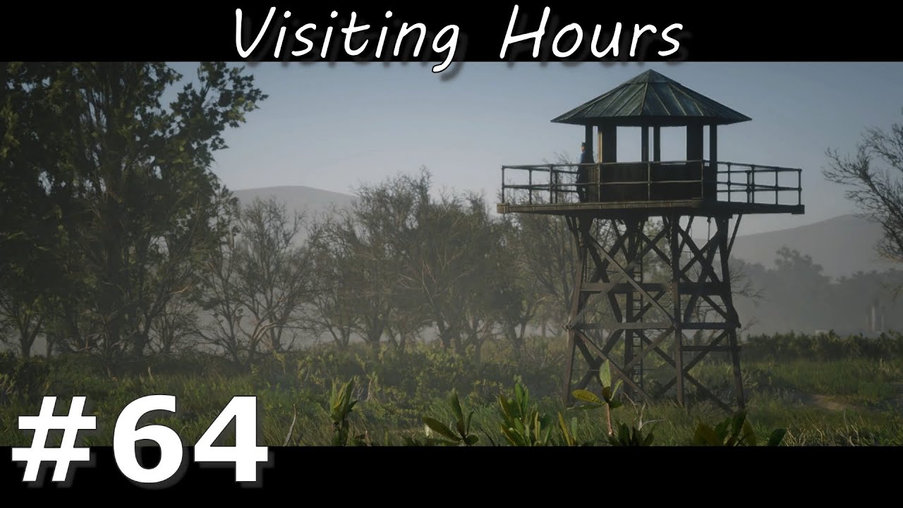 Visiting Hours RDR2 Story Mode Chapter 6 Mission 64 (Gold Medal) 4K PC ...