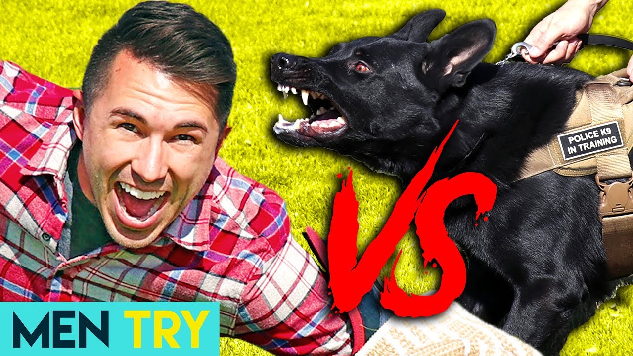Men Try Running From Police K9 Attack Dog - BAD BITE! - YouTube