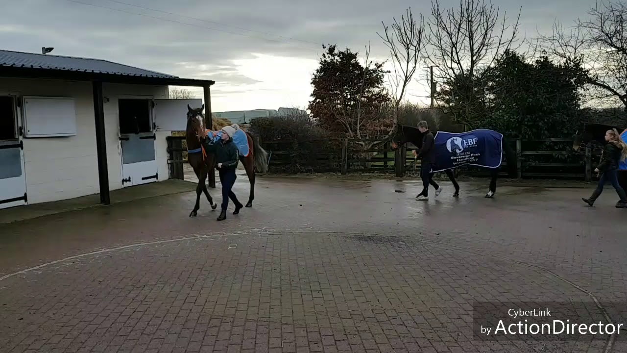 Roger Fell Stable Visit - YouTube