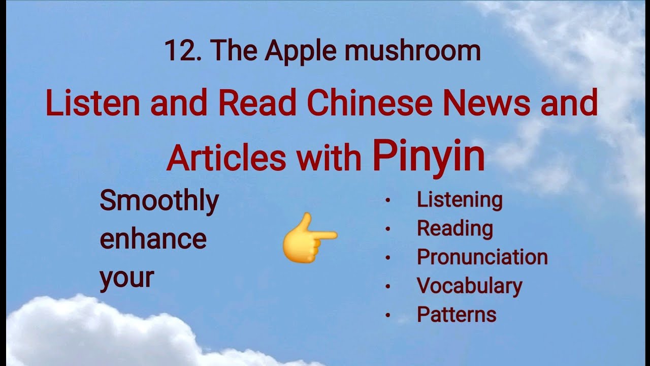How to Learn Chinese Fast | Easy Chinese Lessons with Pinyin & News ...