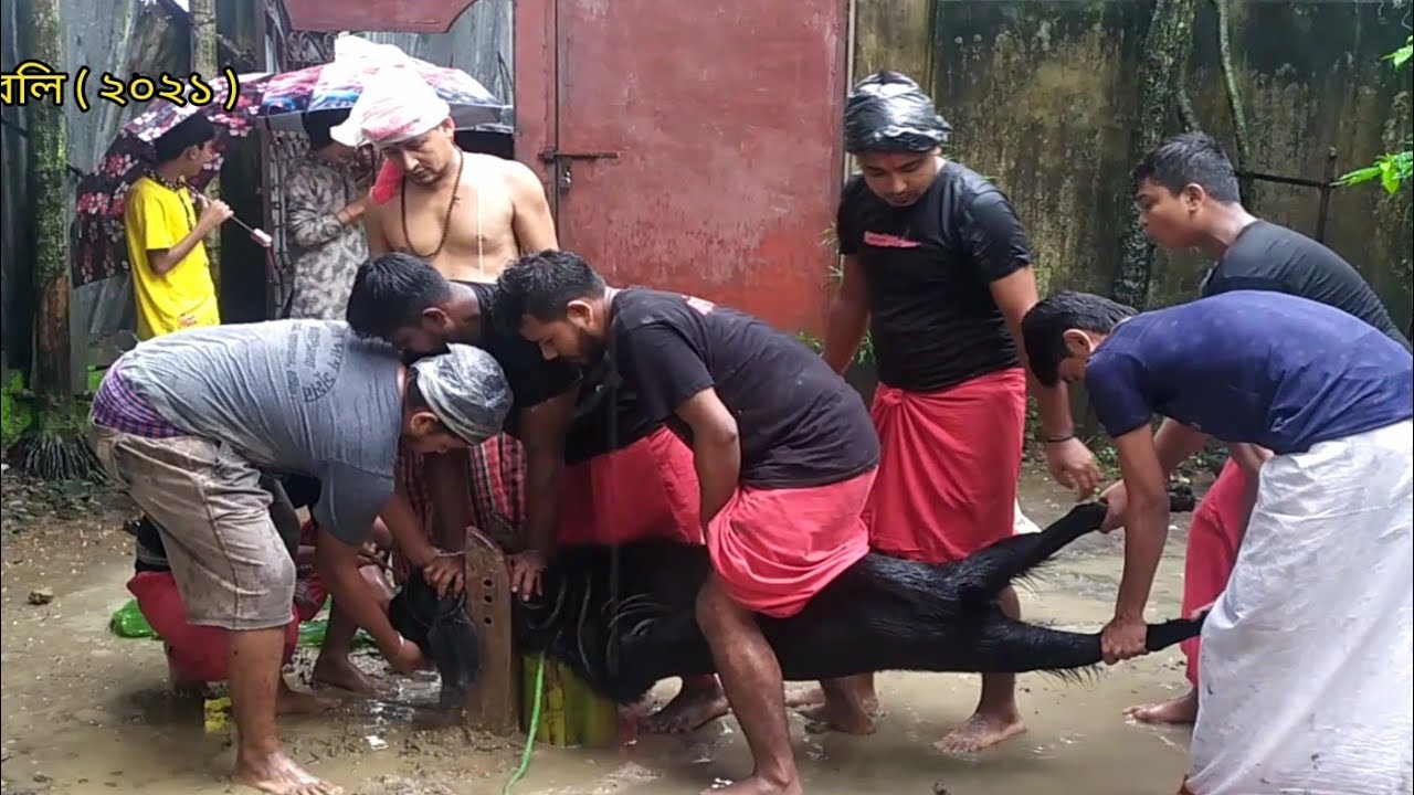 manasa puja patha boli 2021 - YouTube