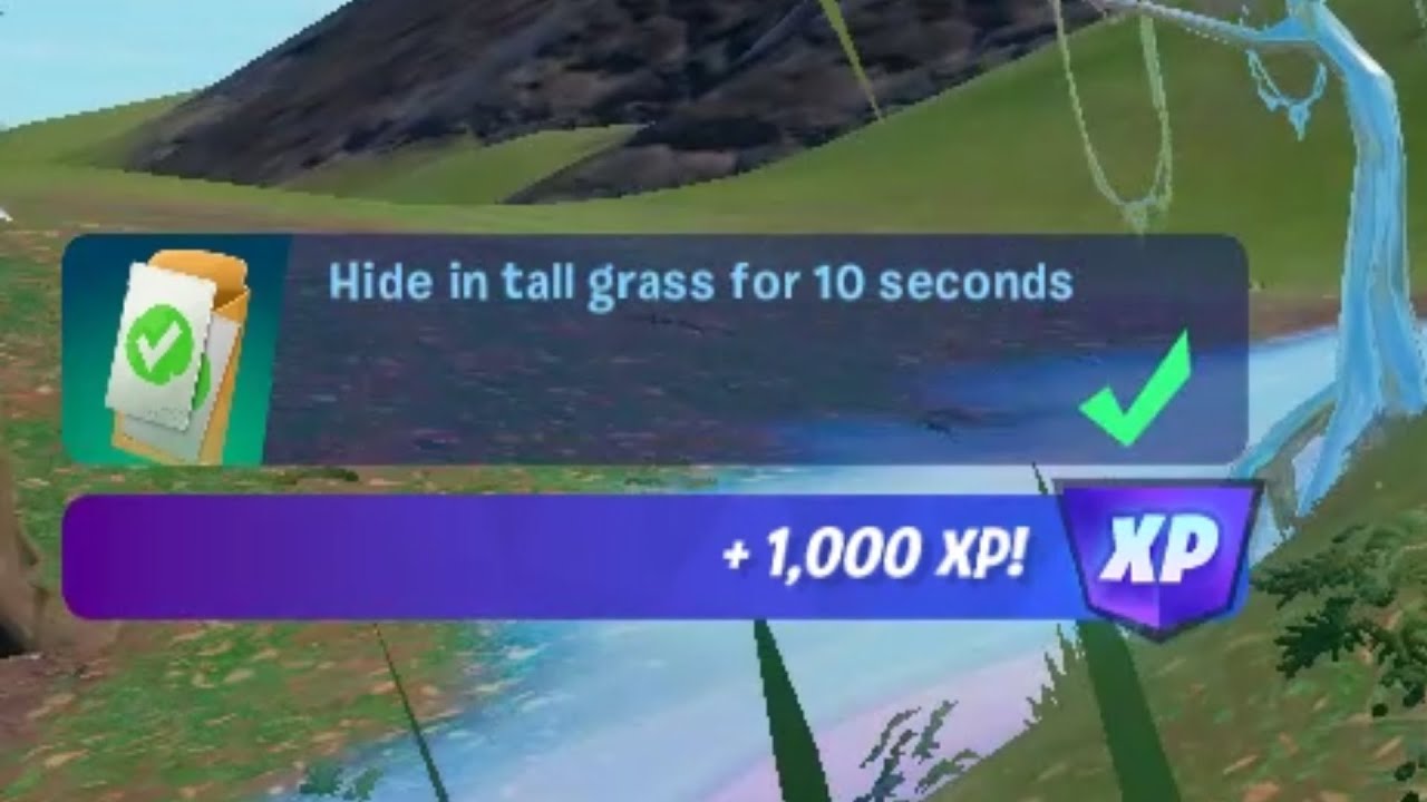 Hide in tall grass for 10 seconds || Fortnite Daily Quests - YouTube