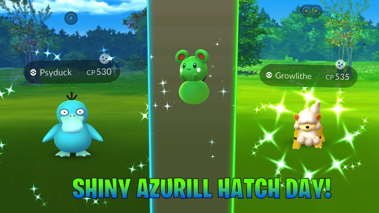 NEW SHINY AZURILL HATCH DAY IS HERE! Shiny Collab Stream | NEED Shiny ...