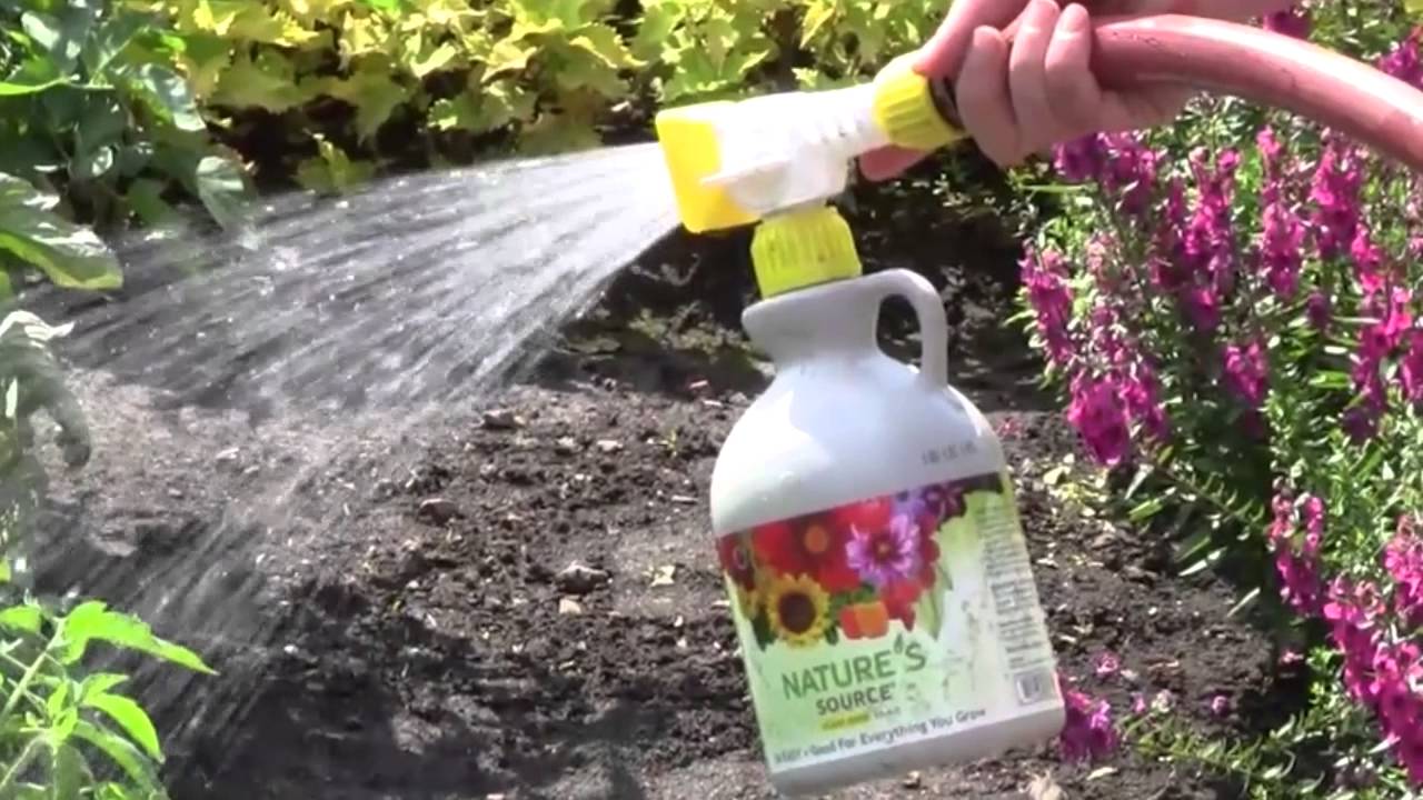 Nature's Source in the Garden - YouTube