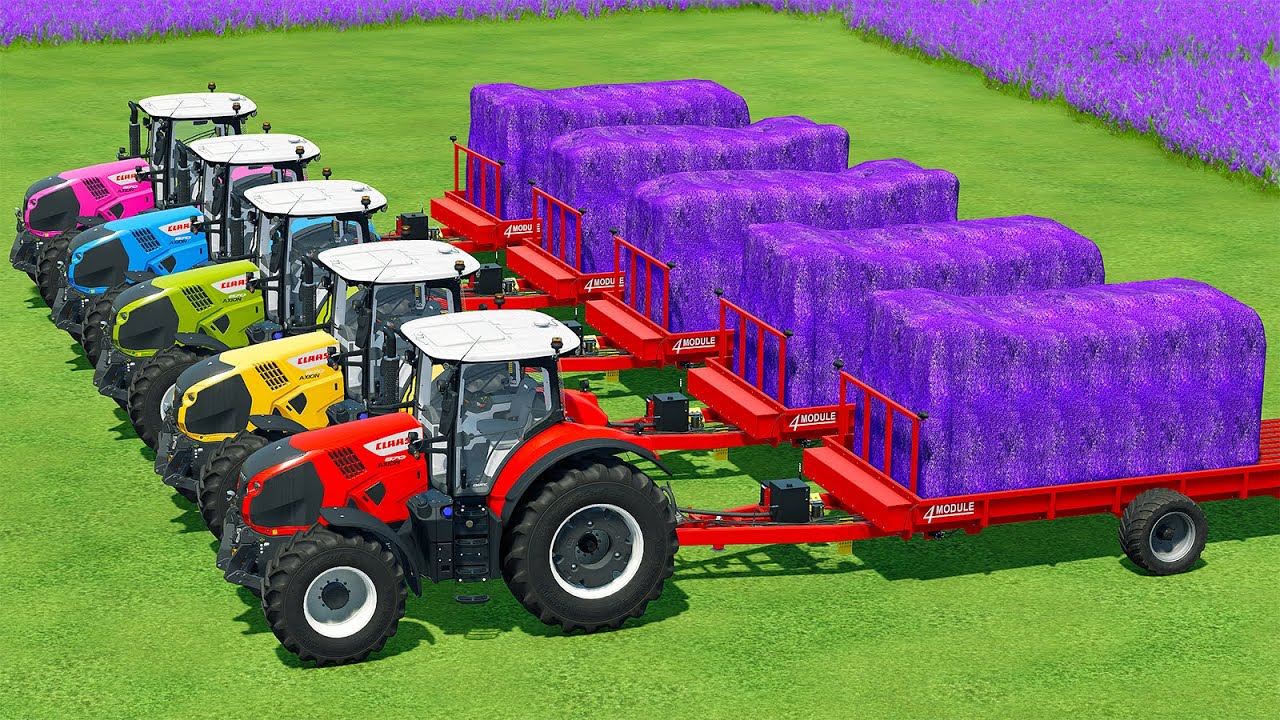 LOAD AND TRANSPORT GIANT SQUARE LAVENDER BALES WITH CLAAS - Farming ...