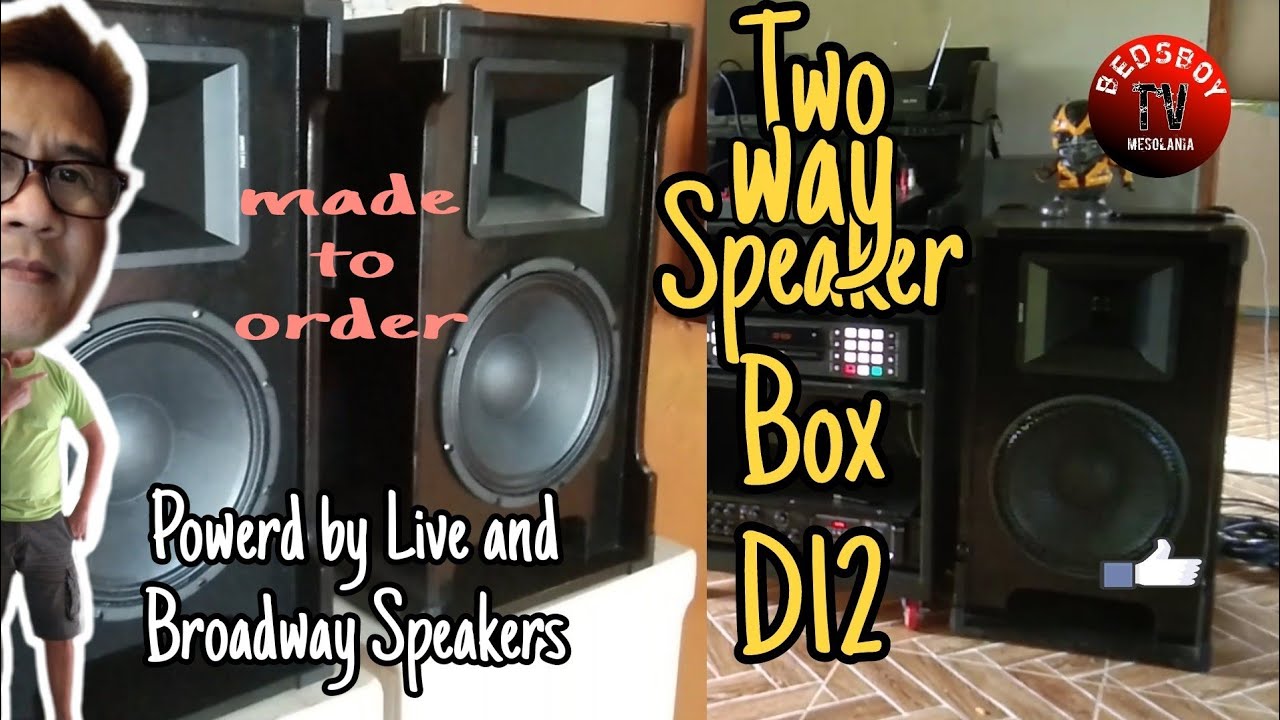 Two way Speaker System D12||Do it yourself Speaker Box D12||Pagawa Lang ...