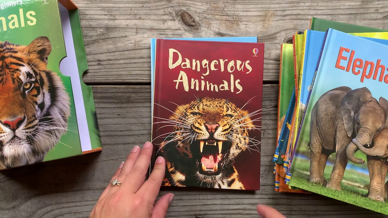 Beginner’s Animal Box Set - YouTube