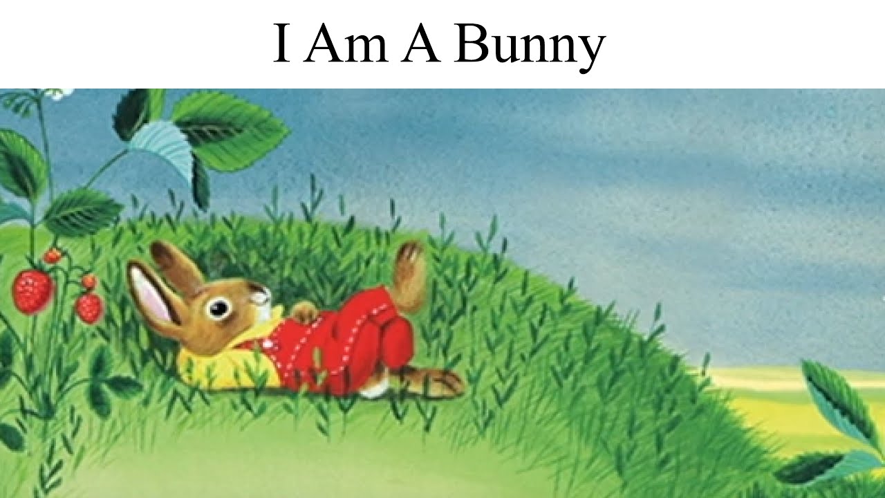 I Am A Bunny - YouTube