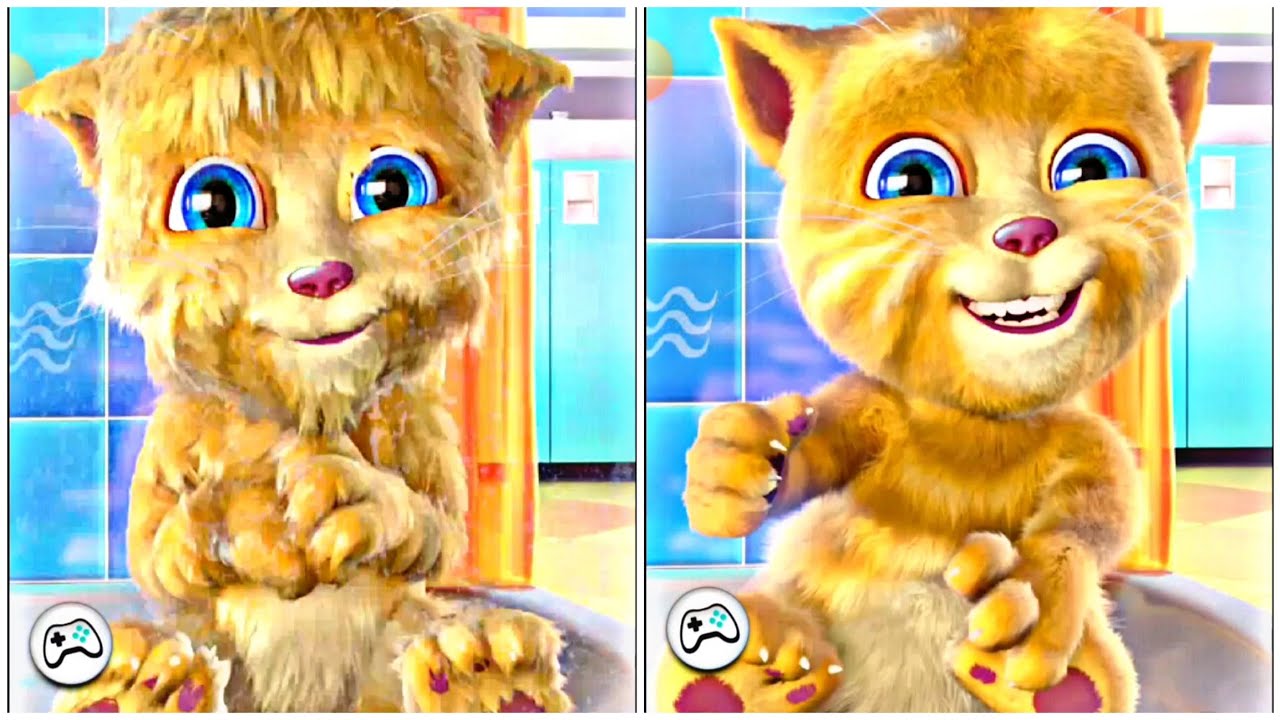 Talking ginger 2,yellow cat #ginger#finny #cat#yellow #talking #multik ...