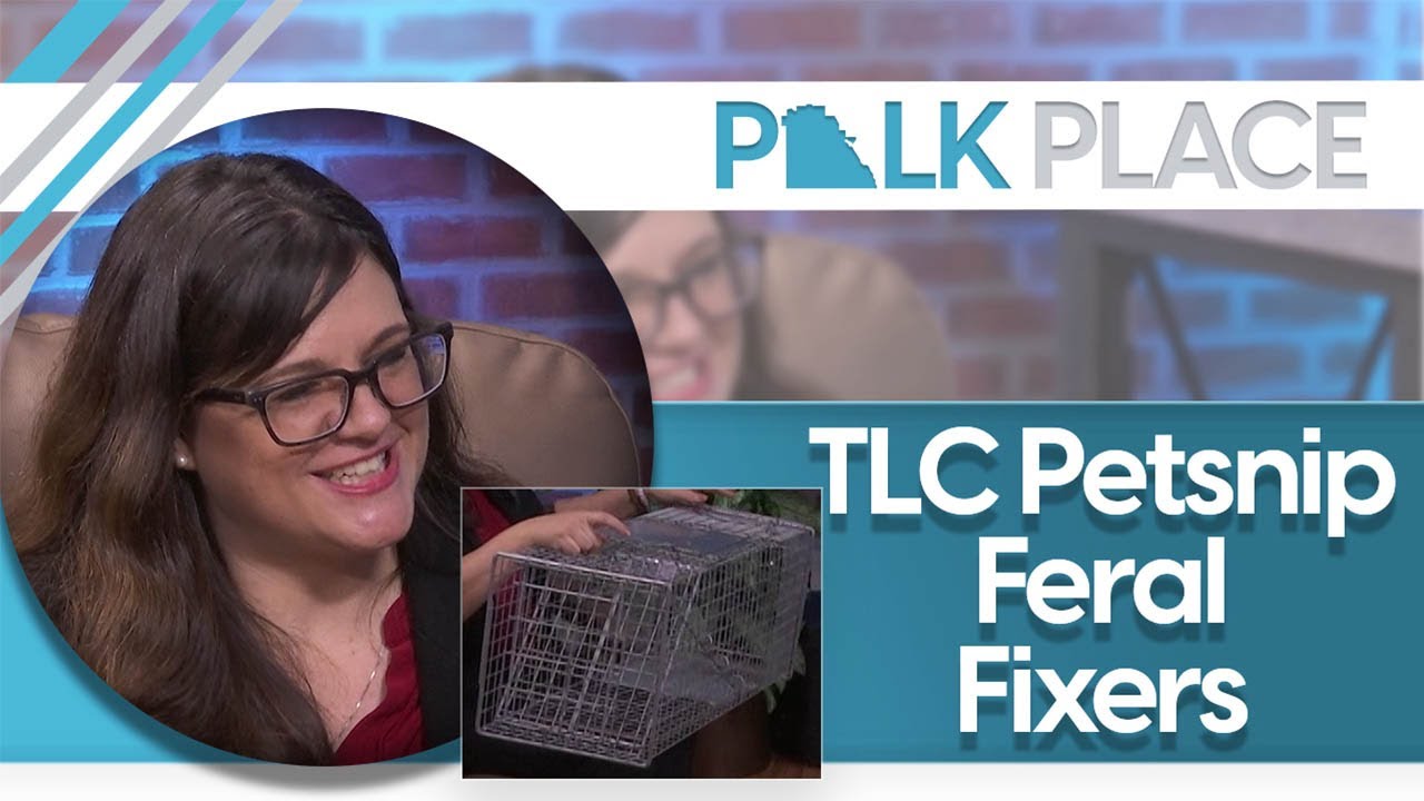 TLC Petsnip Feral Fixers Polk Polk Place - YouTube
