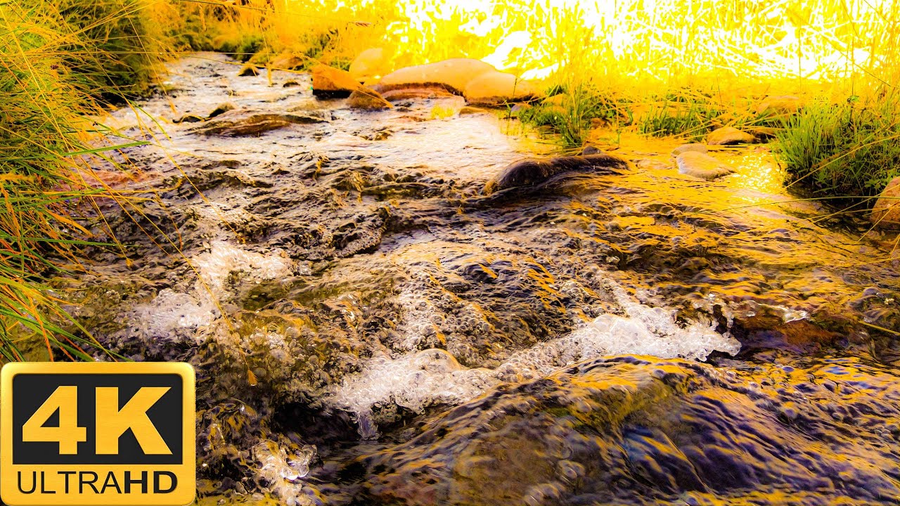 Water Whisperer: Experience the Calming Power of a Fast-Flowing River ...