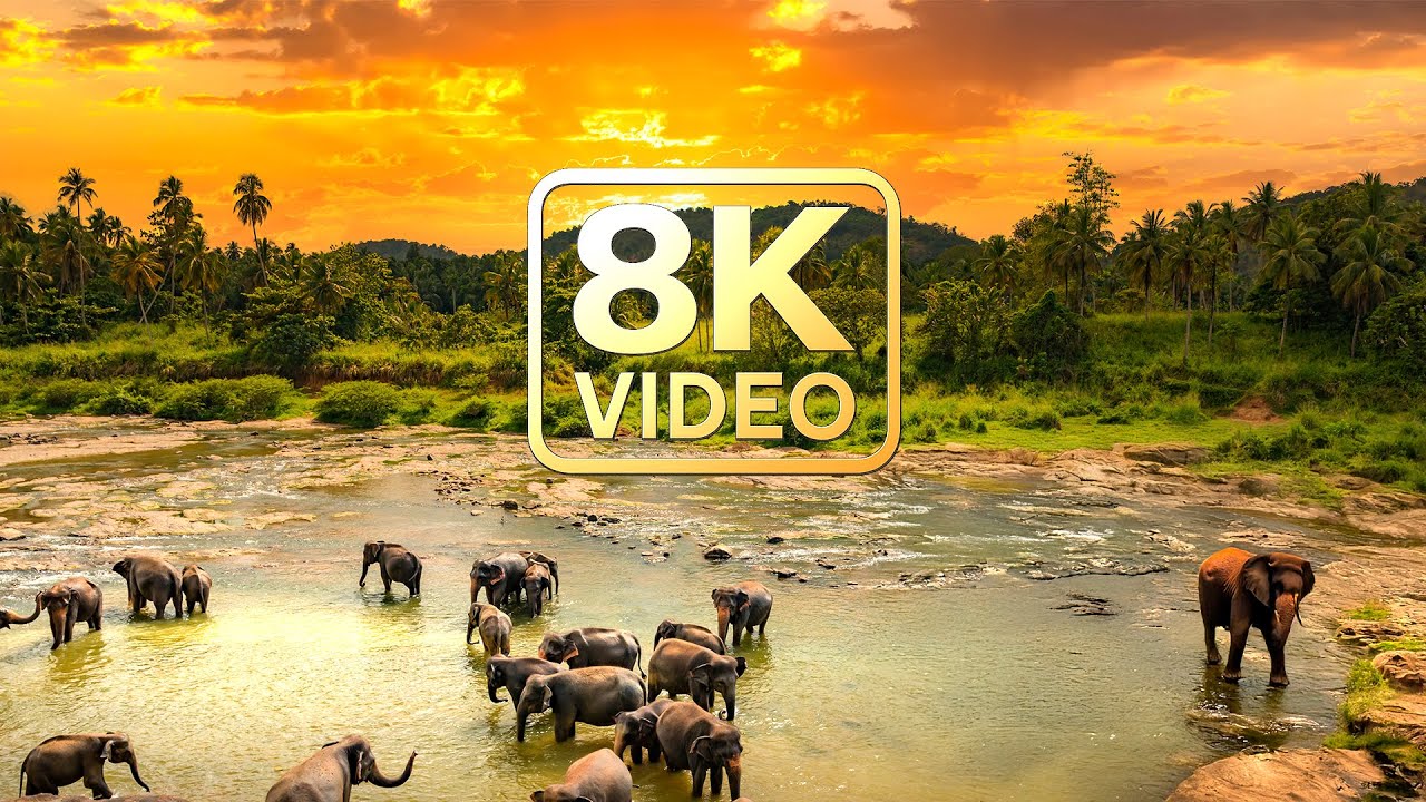 Places To Visit In The Planet Earth 8K VIDEO ULTRA HD - 4K TV - YouTube