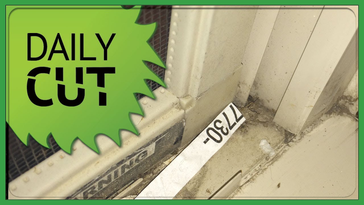 Are Your Most Aggressive Sales People Harming Your Business - YouTube