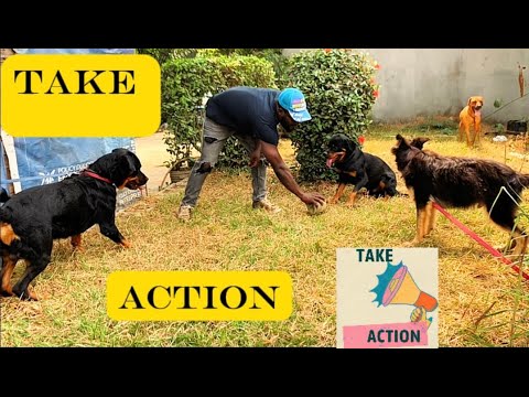 Take Action | Talk Is Cheap Stop Procrastinating - YouTube