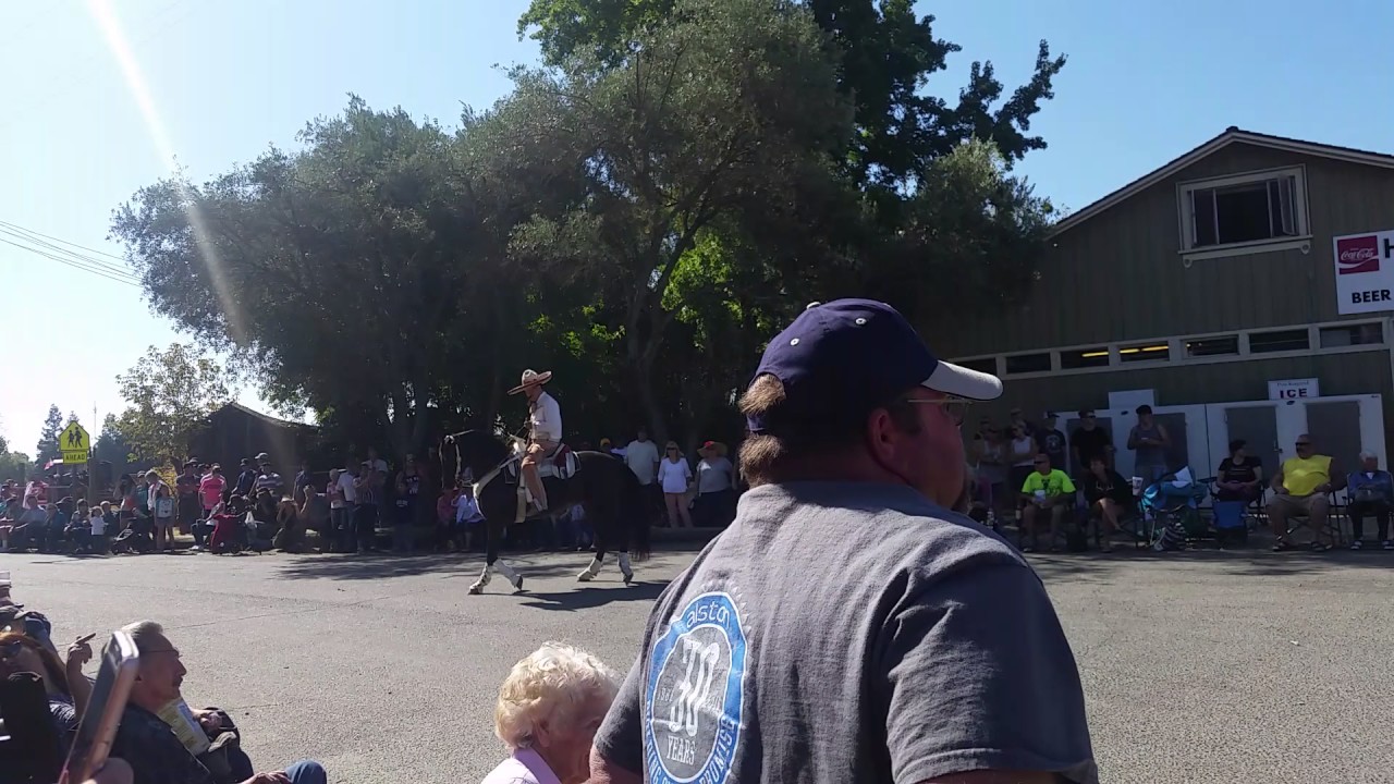 Herald Day Parade August 2016 - YouTube