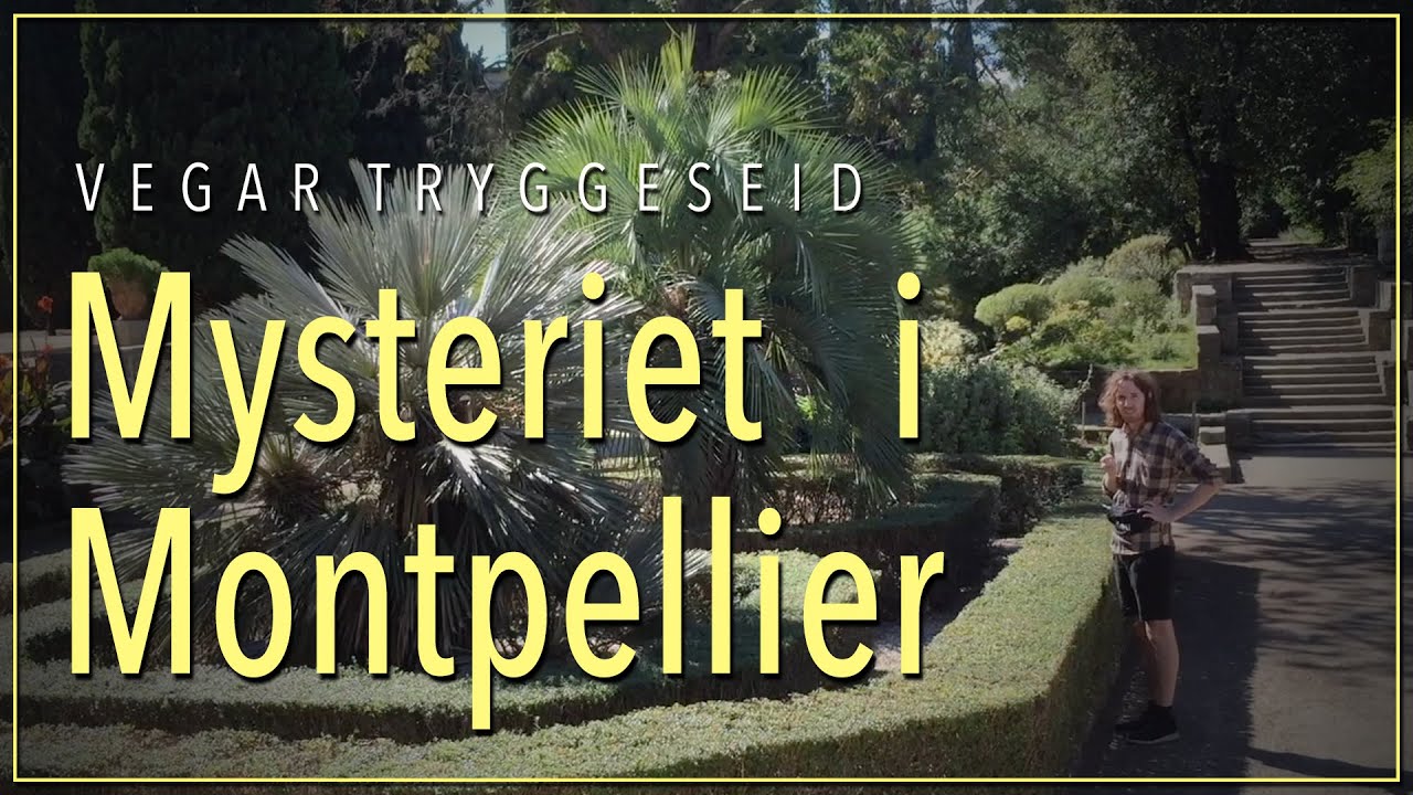 Vegar Tryggeseid – Mysteriet i Montpellier - YouTube