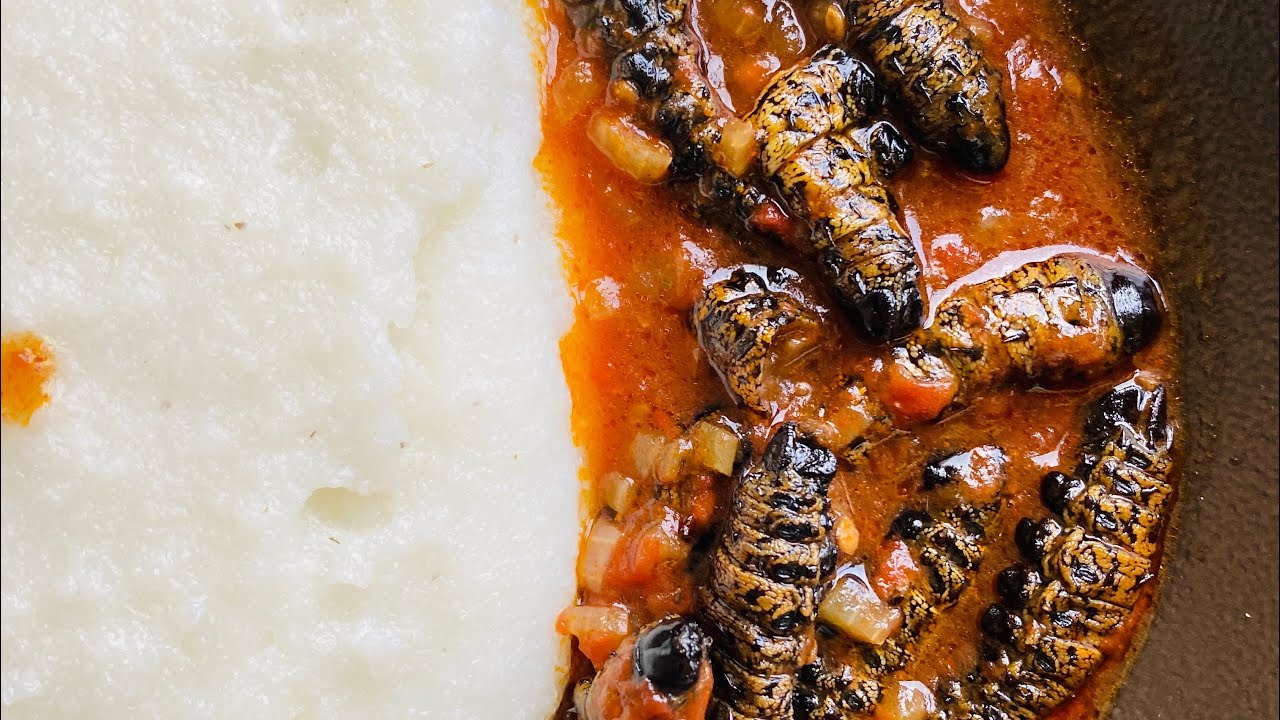 Let’s cook mashonzha #mopaniwarms |South Africa |youtuber - YouTube