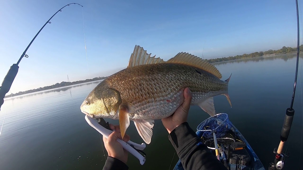 Trolling for Redfish using tandem rigs - YouTube