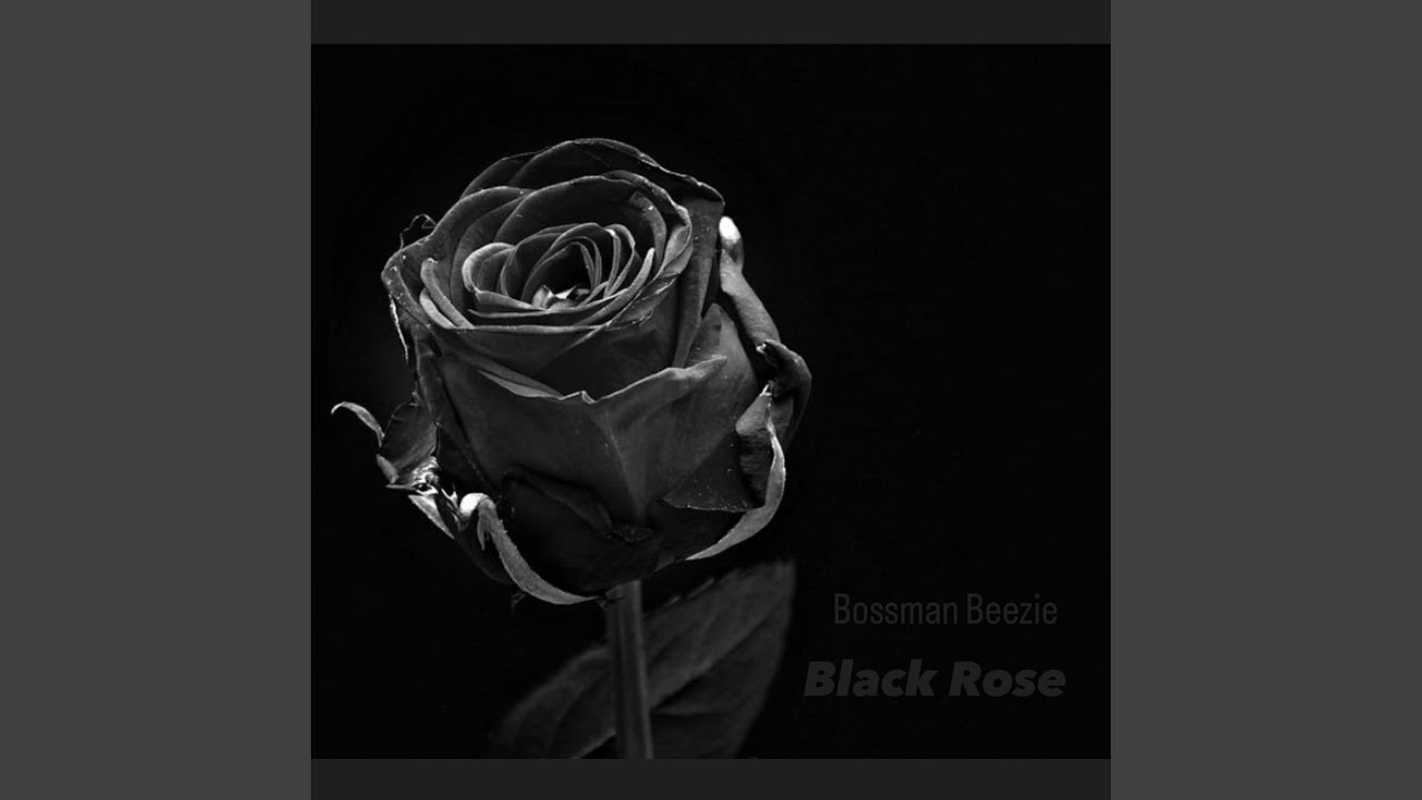 Black Rose - YouTube