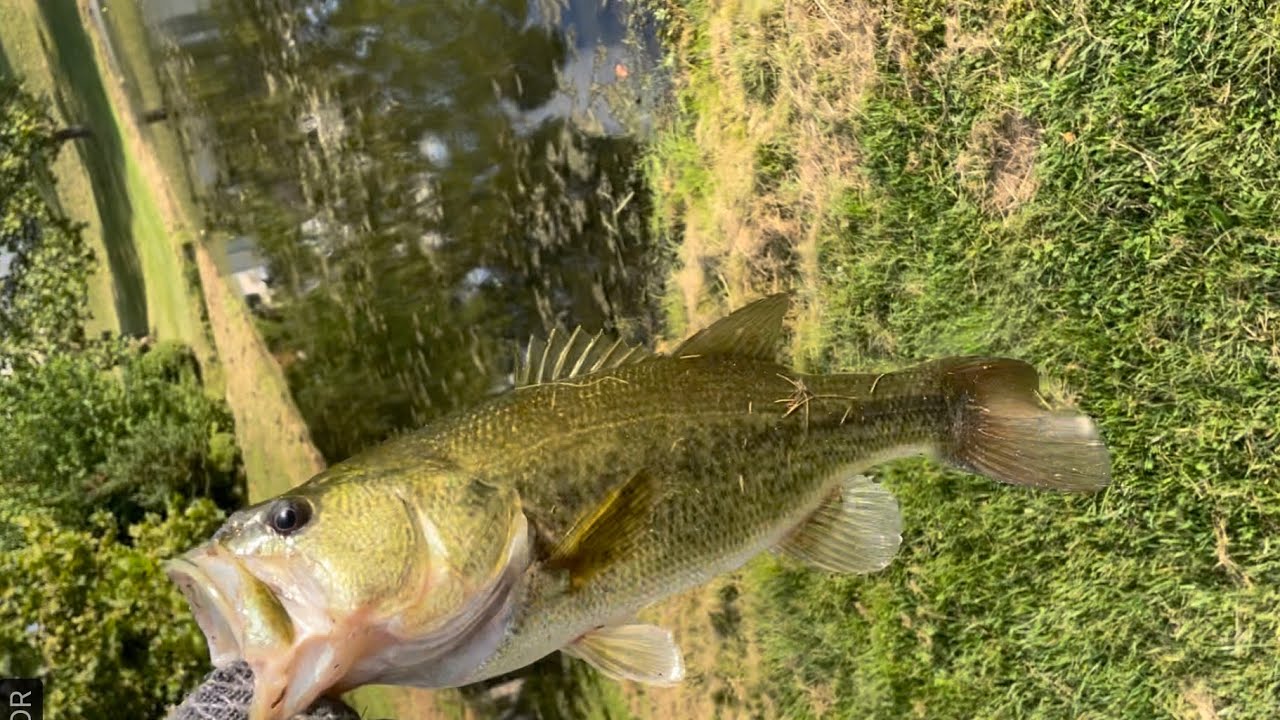 Fishing video (IRL) Pt.1 - YouTube