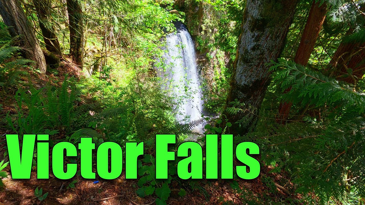 Short Walk Around Victor Falls Bonney Lake WA - YouTube