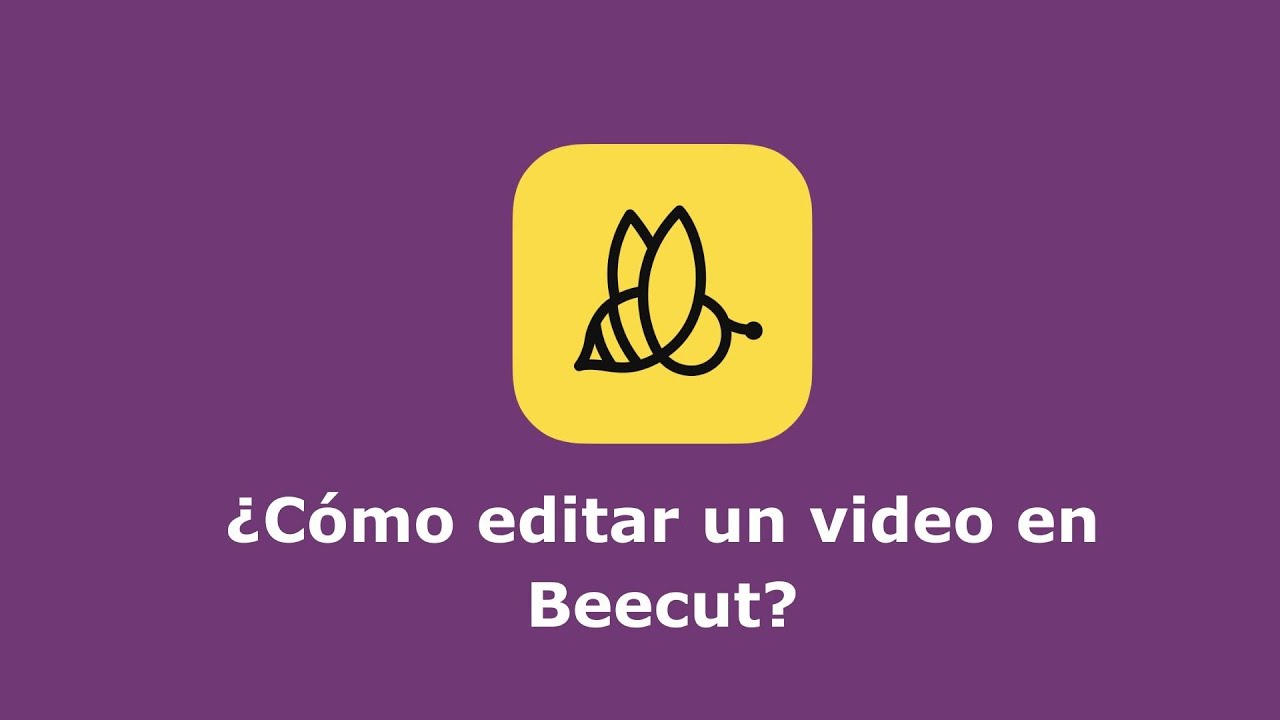 Cómo editar en Beecut - YouTube