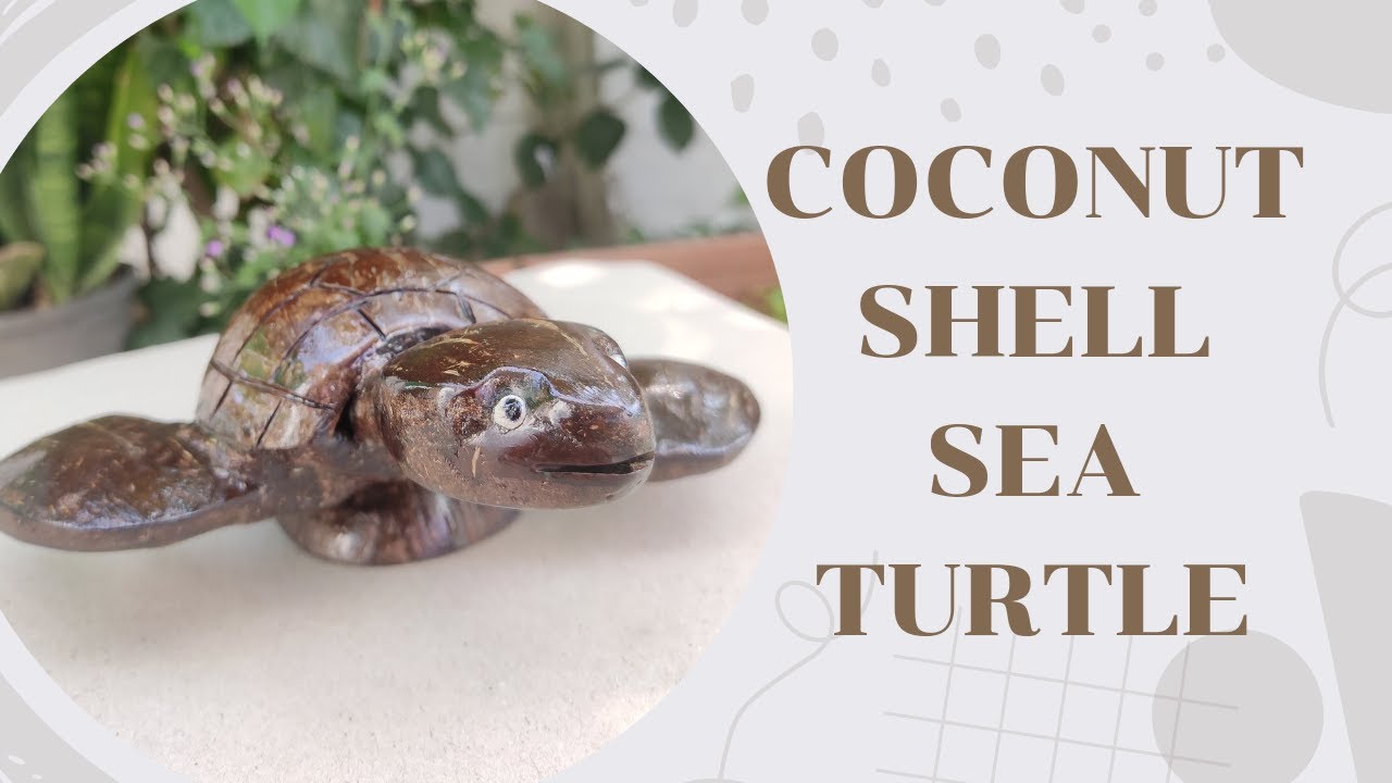 Coconut Shell Sea Turtle | Coconut Shell Craft🥥 - YouTube
