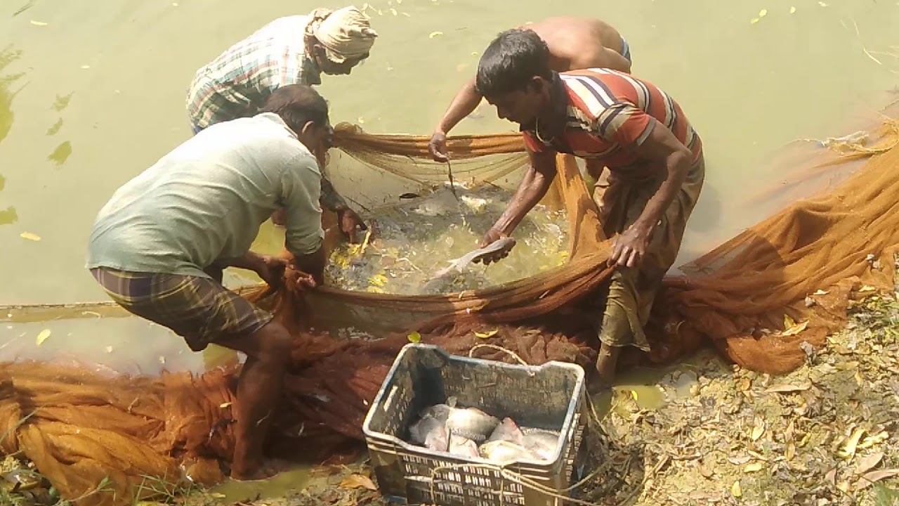 Traditional fishing - YouTube