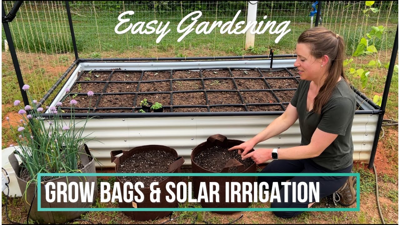 Easy Gardening With Grow Bags & RainPoint Solar Irrigation - YouTube