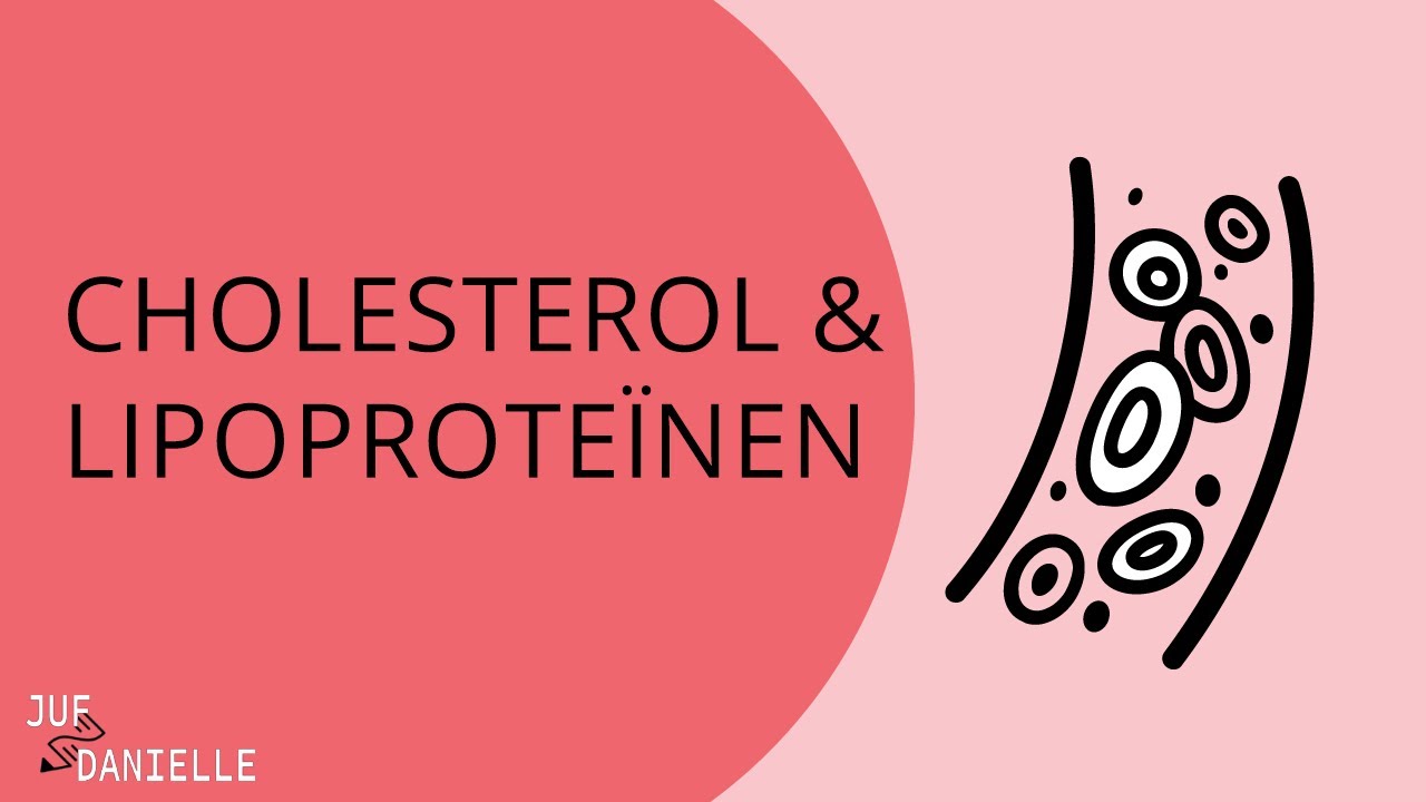 Cholesterol en Lipoproteïnen - YouTube