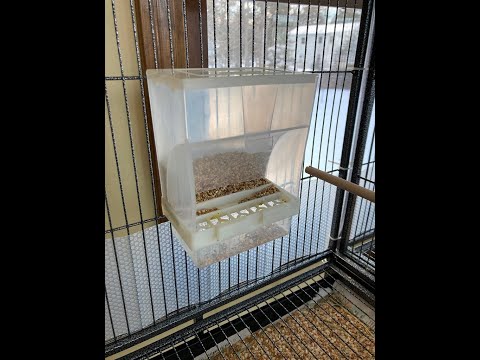 Hopper Feeder Review - No Mess Feeder - Tidy Feeder