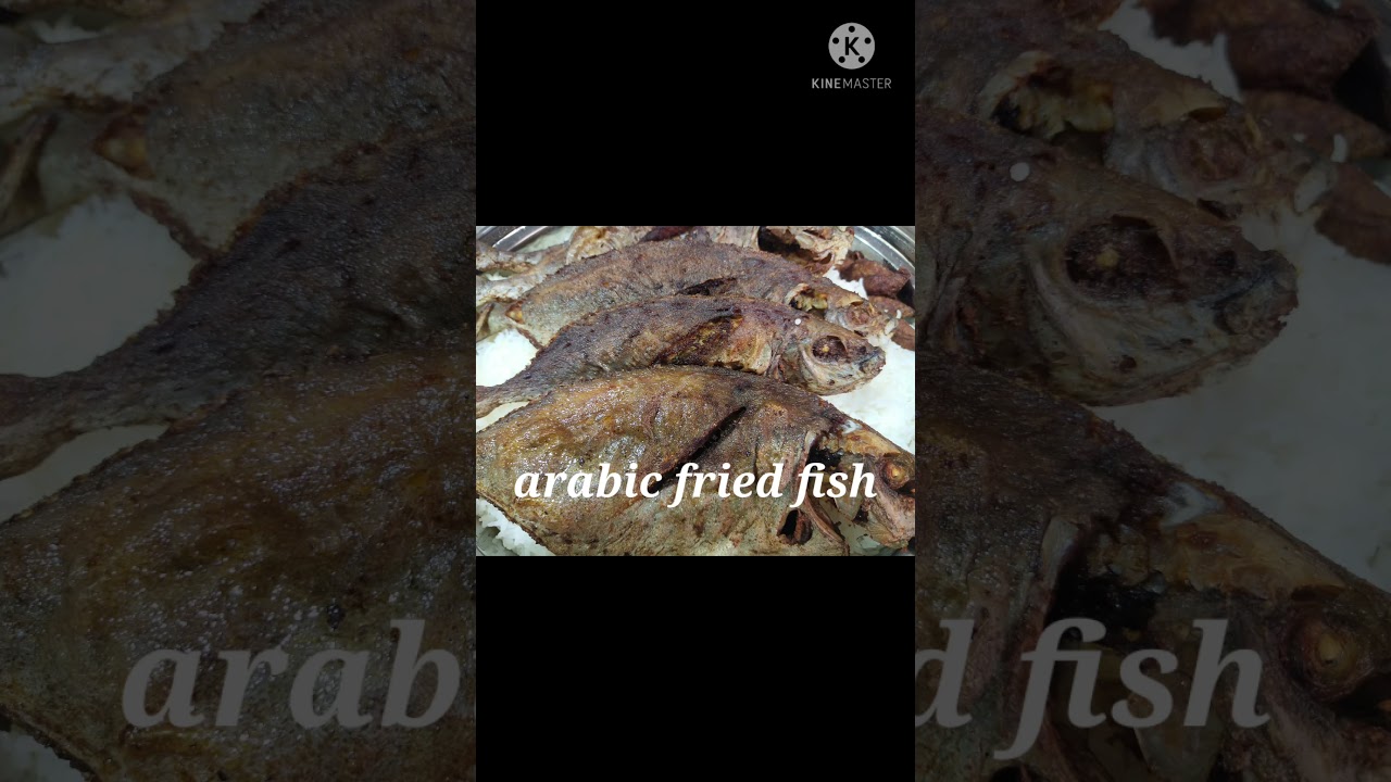 arabic fried fish/safi fish (rabbitfish)and white rice - YouTube