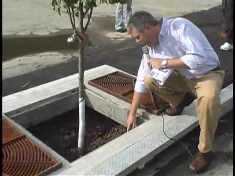 Town of Milton MA installs Tree Filter Boxes to reduce amount of ...
